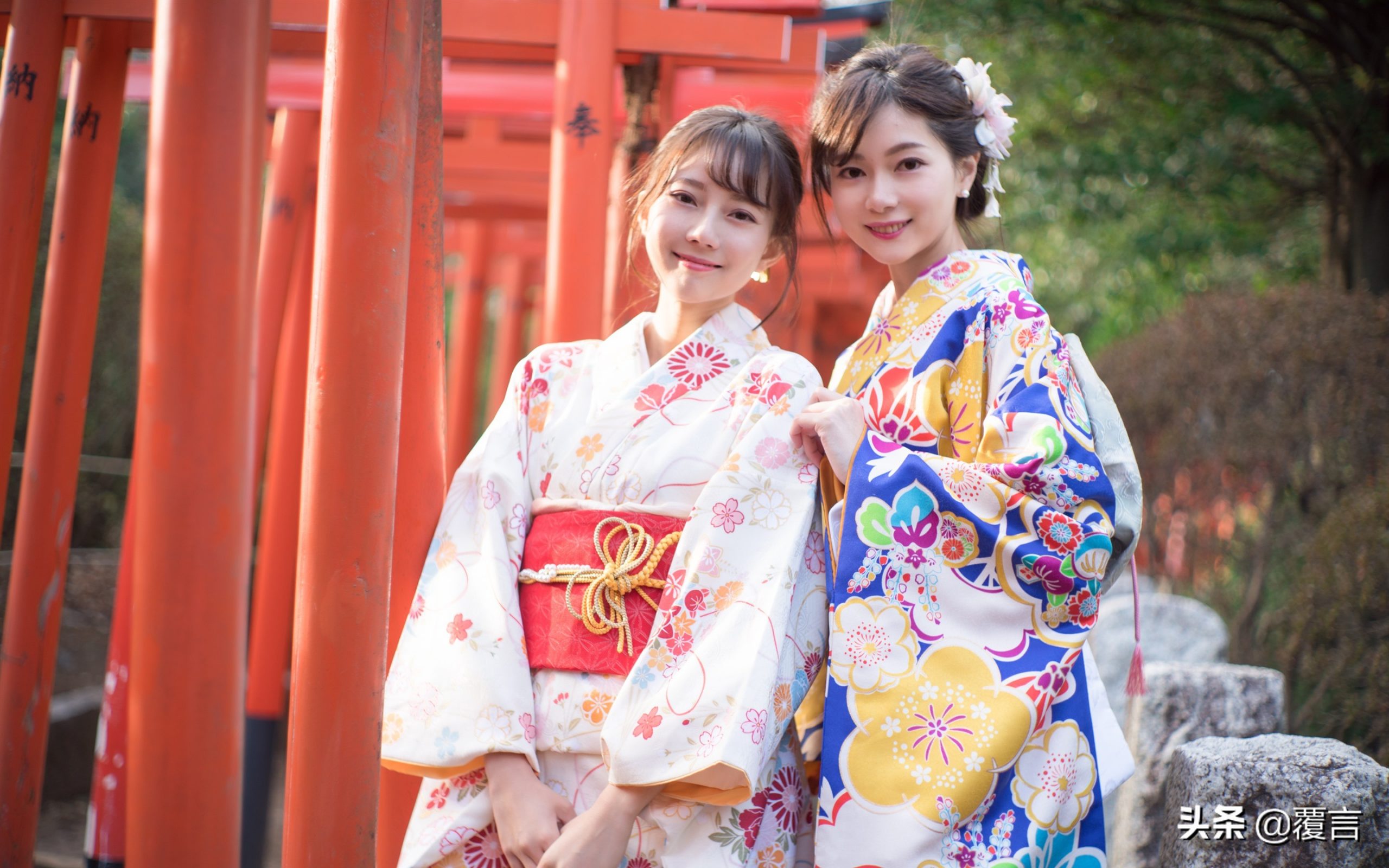 The Yamato People: A Journey Through Japanese History and Culture - AGENDAPEDIA